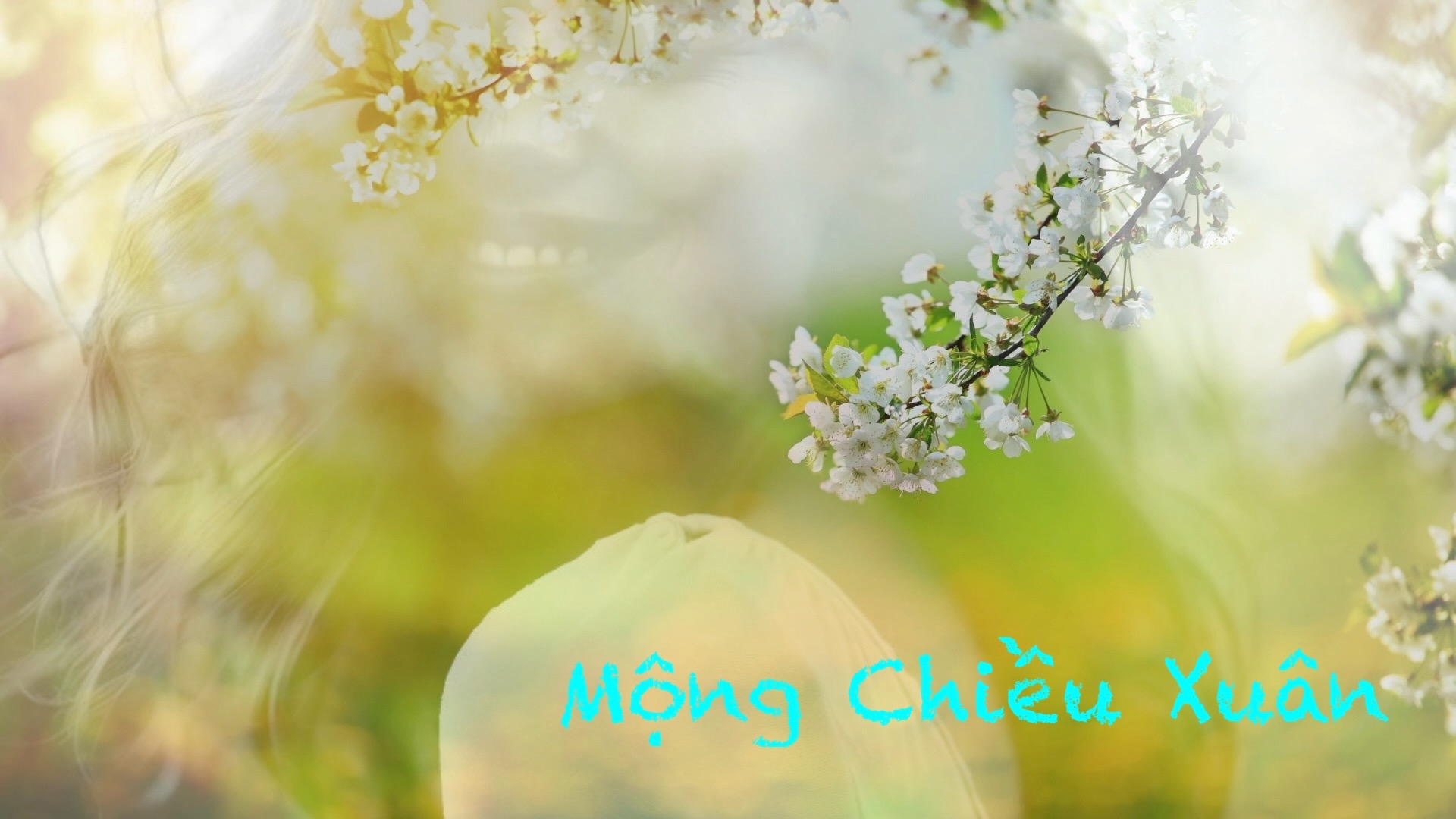 Mộng Chiều Xuân 2024 – Lê Vũ Music